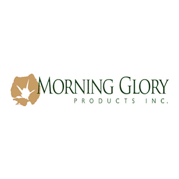 Morning Glory